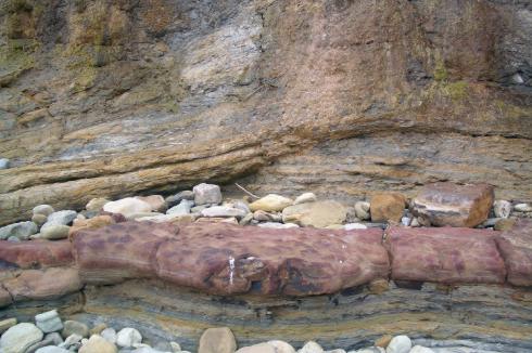 On the hunt for dinosaur footprints | GeologyRocks